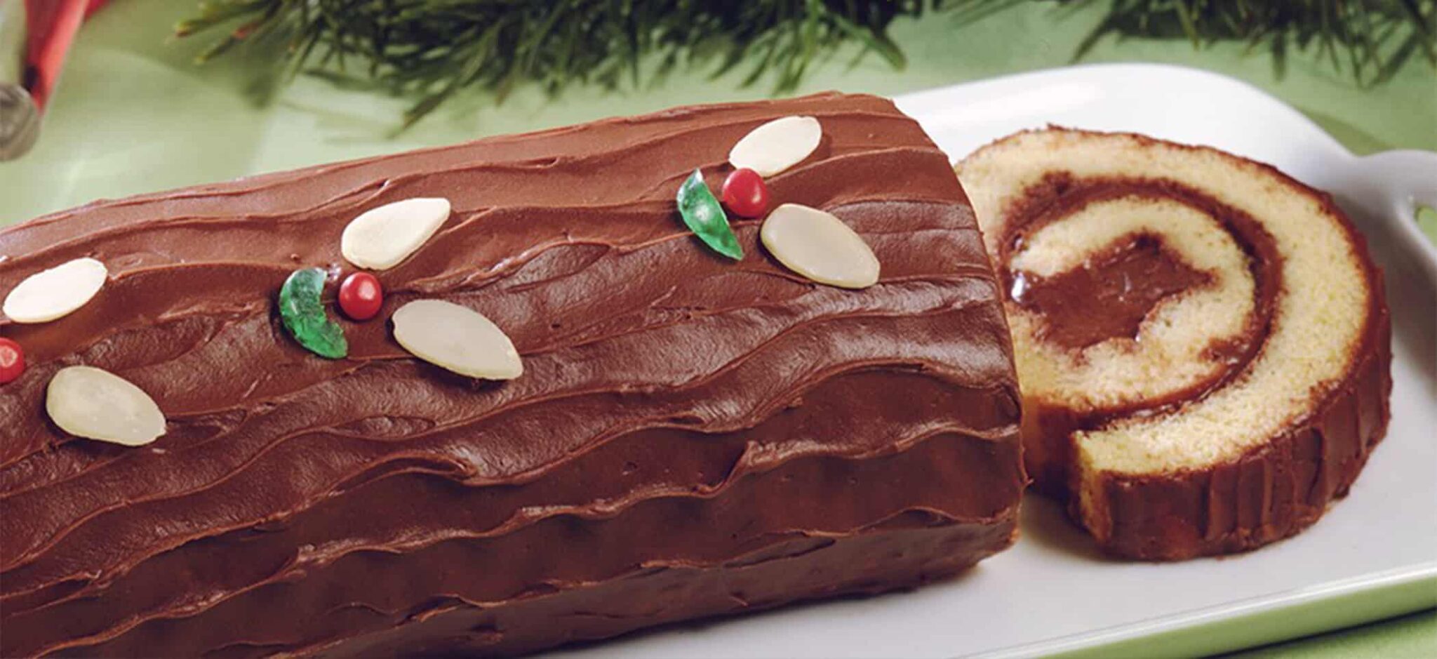 Chocolate Yule Log - American Egg Board