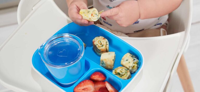 Nutrition Education Materials - American Egg Board