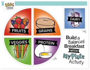 MyPlate Activity - American Egg Board