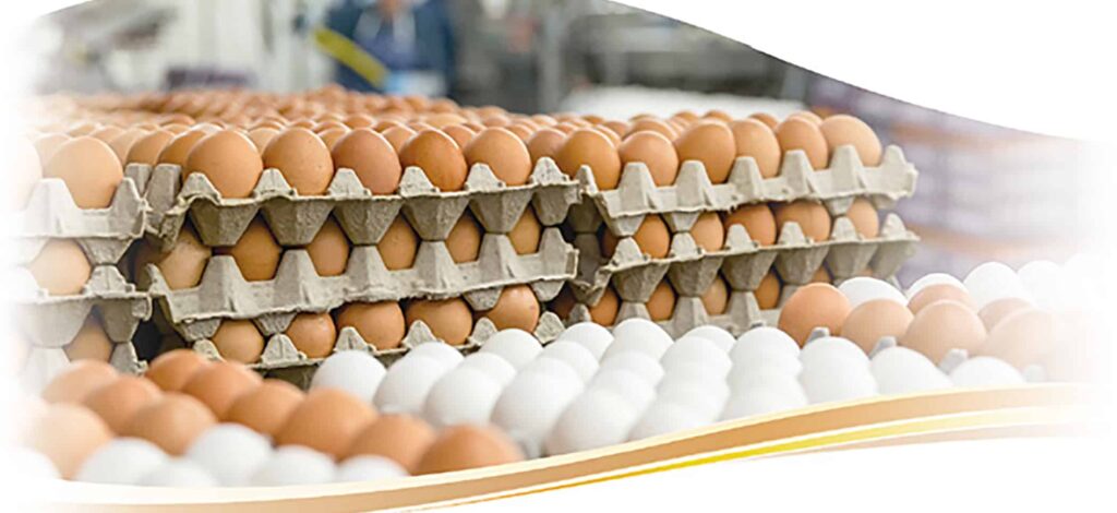 Landmark 50-Year Study Documents U.S. Egg Industry Reduced ...