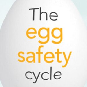 Egg Safety & Handling - American Egg Board