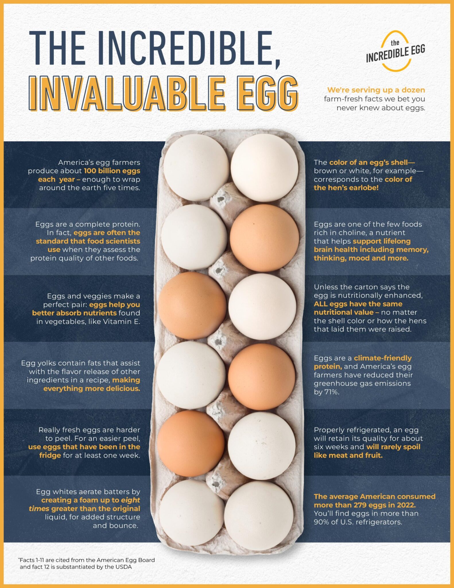 A Dozen Facts that may Surprise You about the Incredible, Invaluable ...