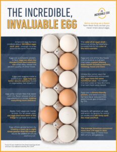 A Dozen Facts that may Surprise You about the Incredible, Invaluable ...