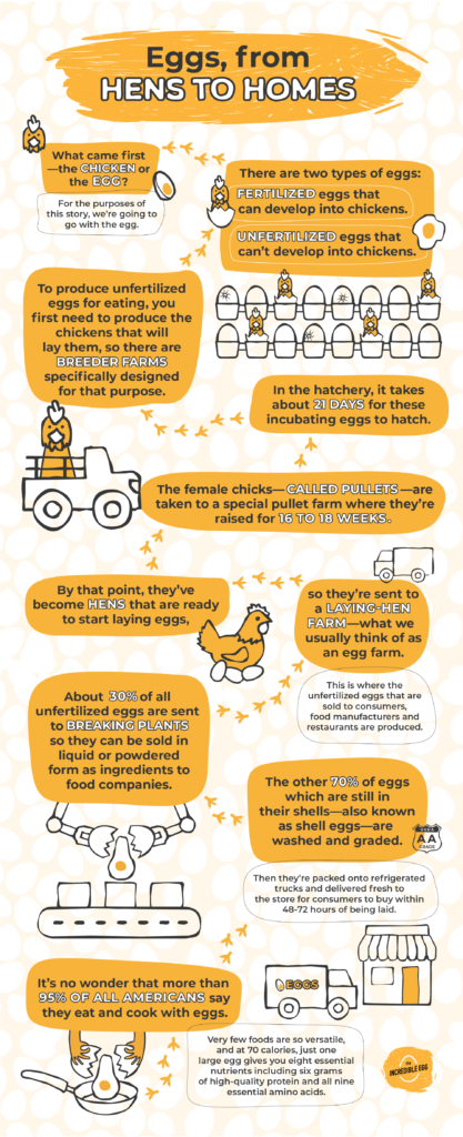 Egg Farming Today - American Egg Board