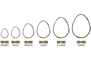 Egg Farming Today - American Egg Board