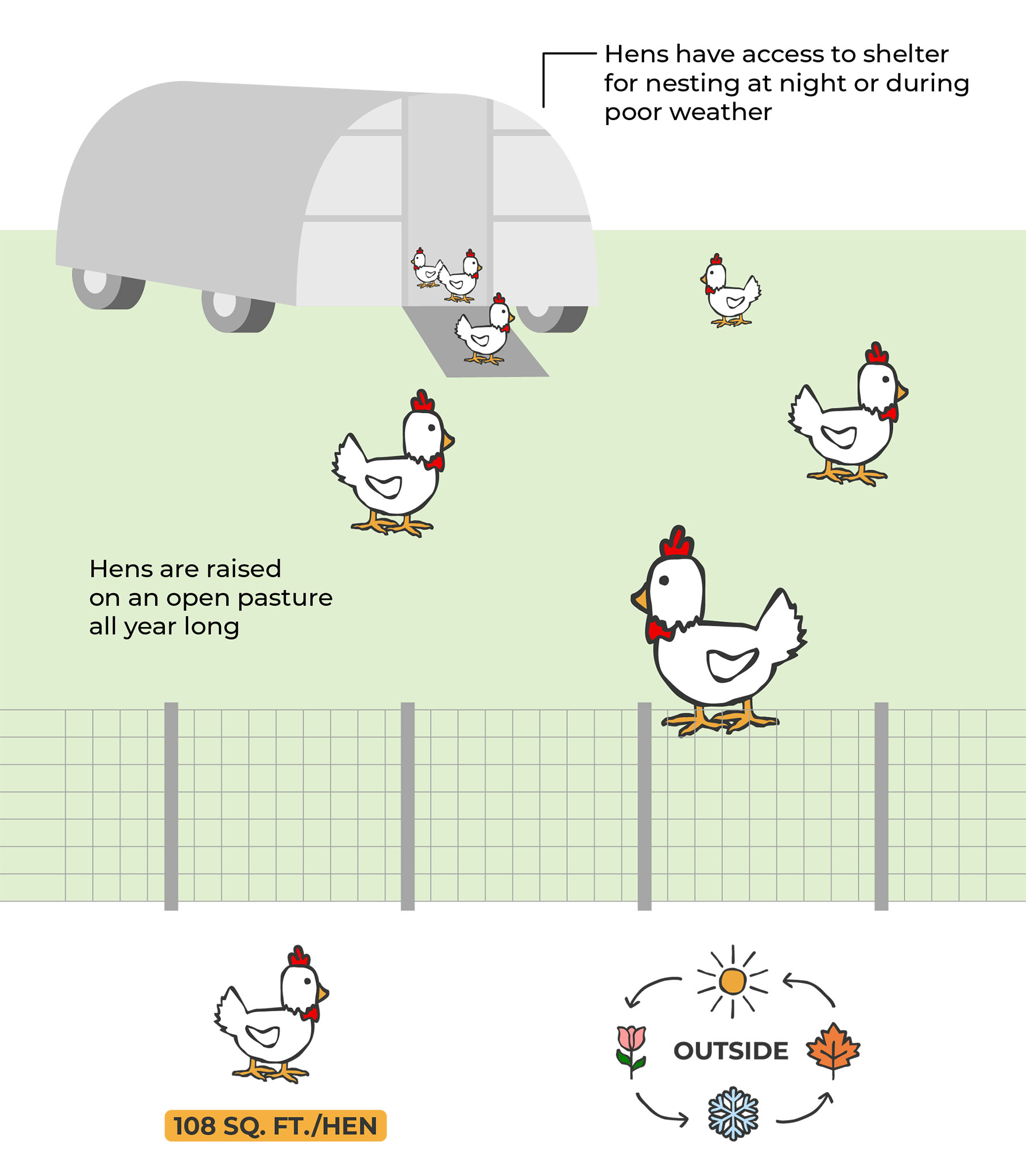 Pasture-Raised Eggs - American Egg Board